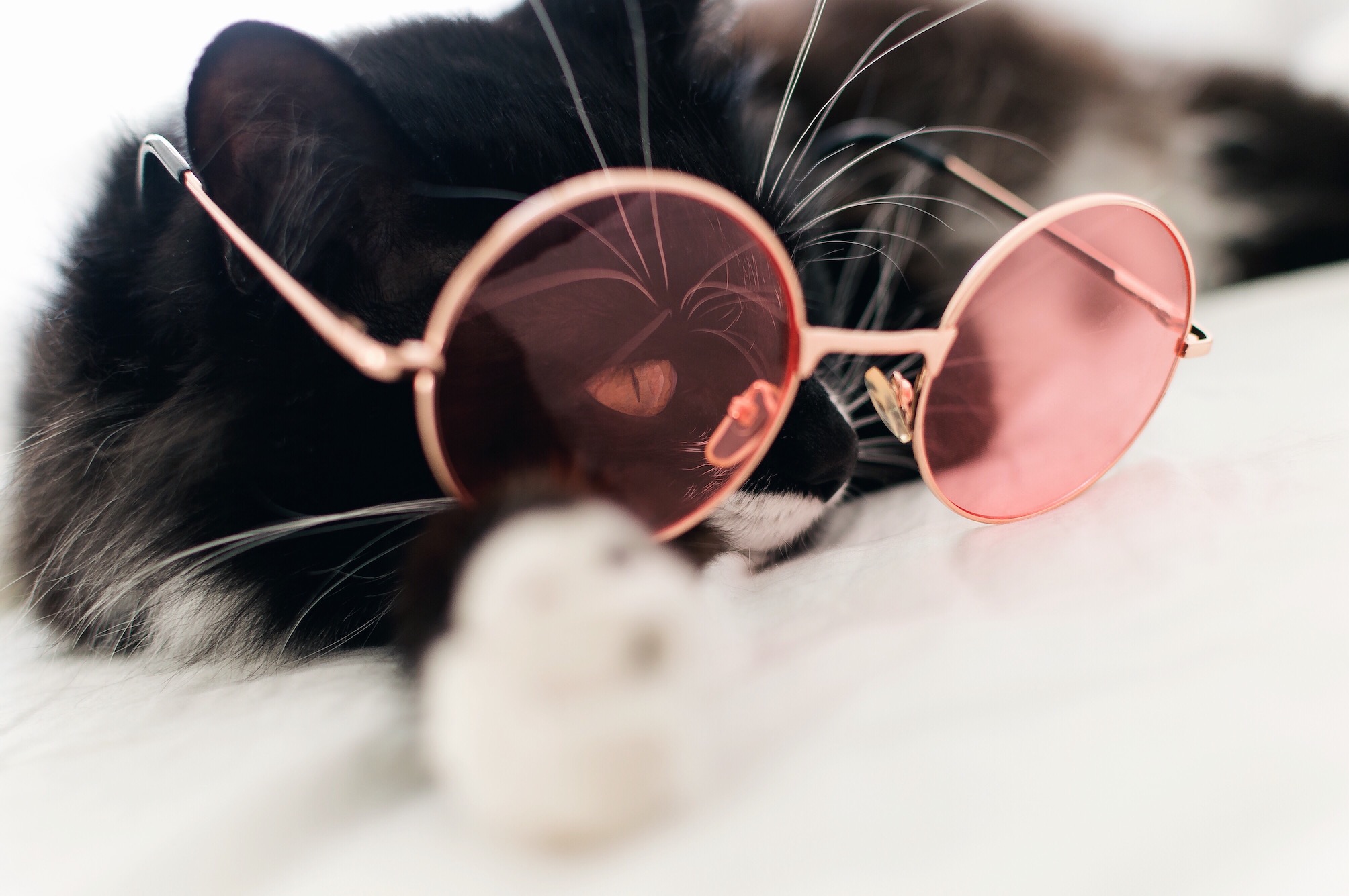 Our Blog – 2KrazyKetos